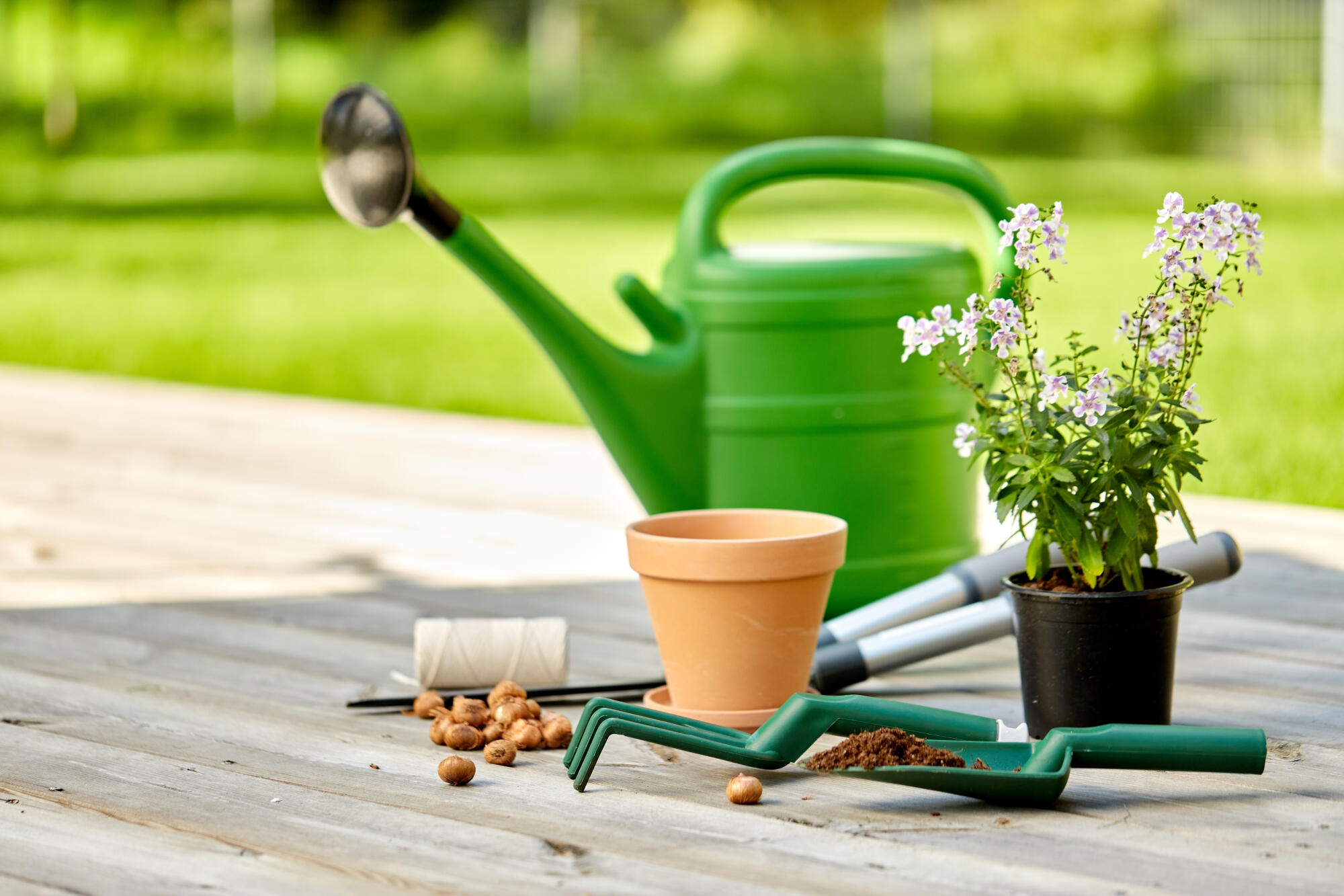 Gardening tools for seniors store